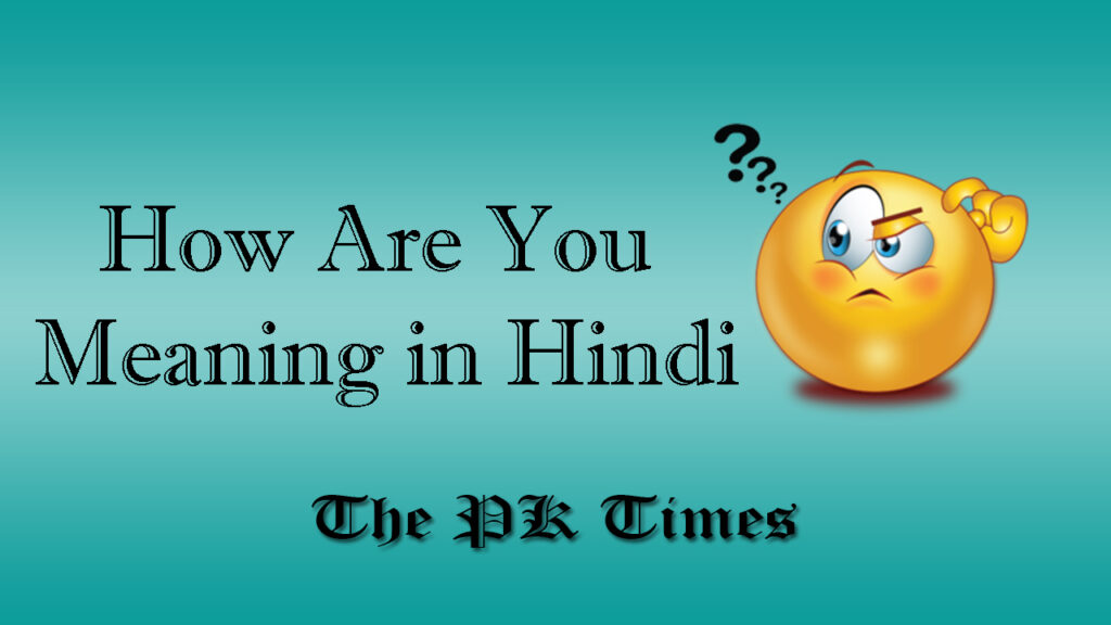 How Are You Meaning In Hindi How Are You 
