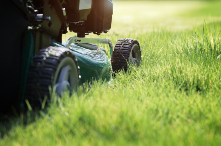 4 Types of Lawn Care Services - Pick-Kart .com