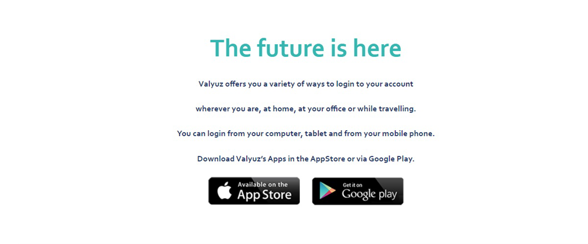 Valyuz Review – a Financial Management Service that Caters to Different ...